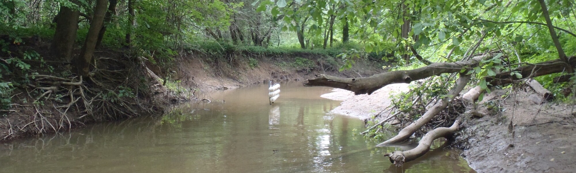 Project Clarity: Restoring the Macatawa Watershed - Robert B. Annis ...